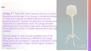 P1 phage .pdf | Biological Sciences | Science