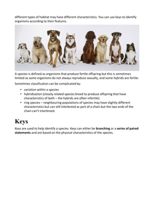 Classification and kingdoms | ODT