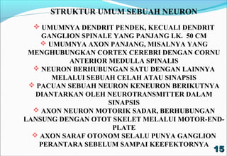 P 1 sel saraf kuliah pakar | PPT