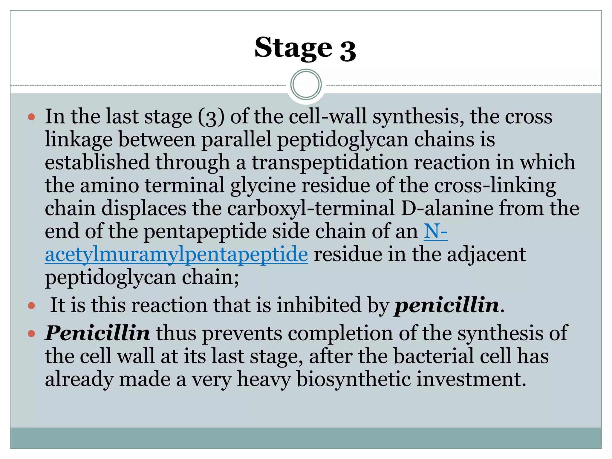 PEPTIDOGLYCAN SYNTHESIS IN BACTERIA.pptx