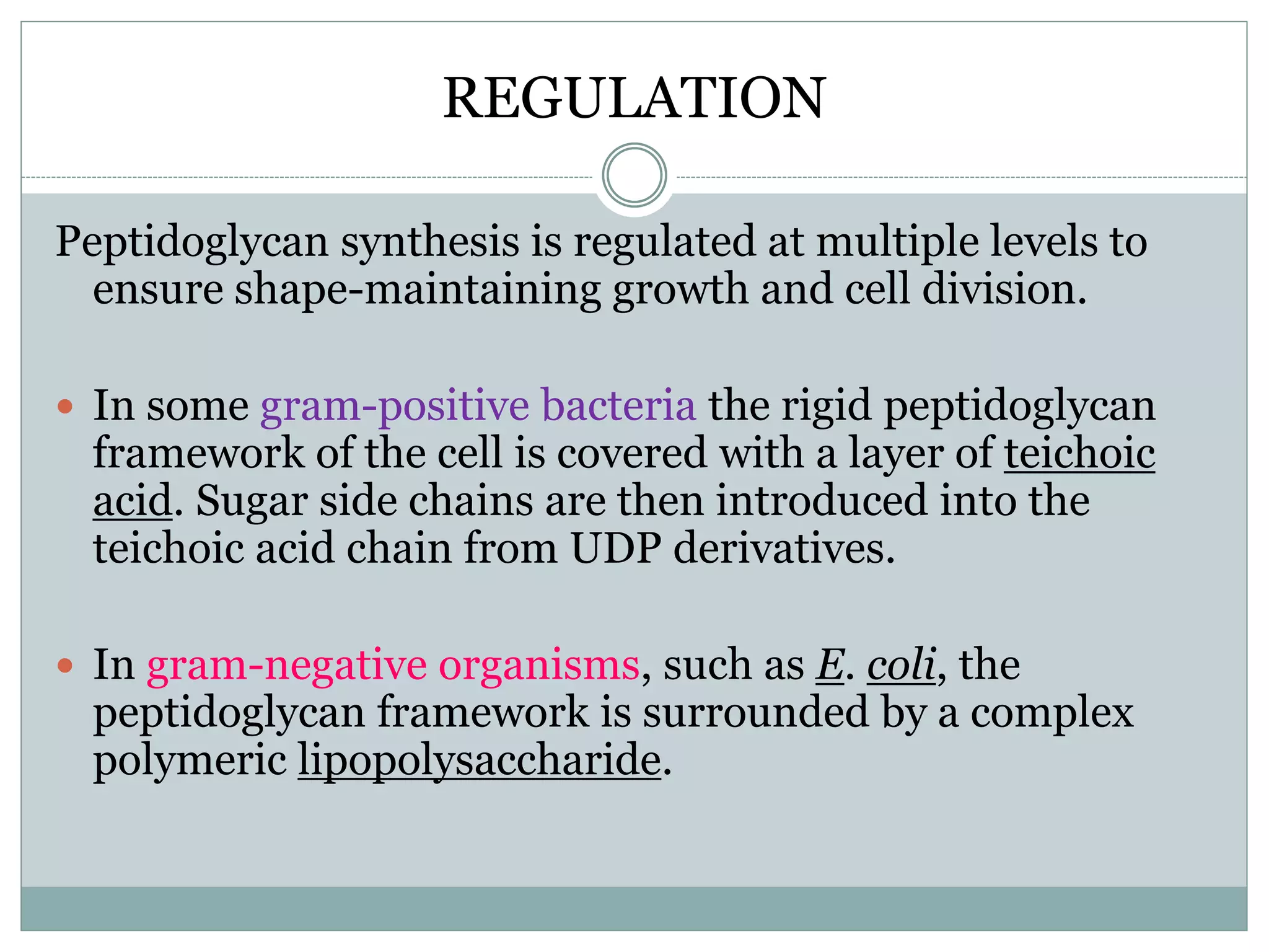 PEPTIDOGLYCAN SYNTHESIS IN BACTERIA.pptx