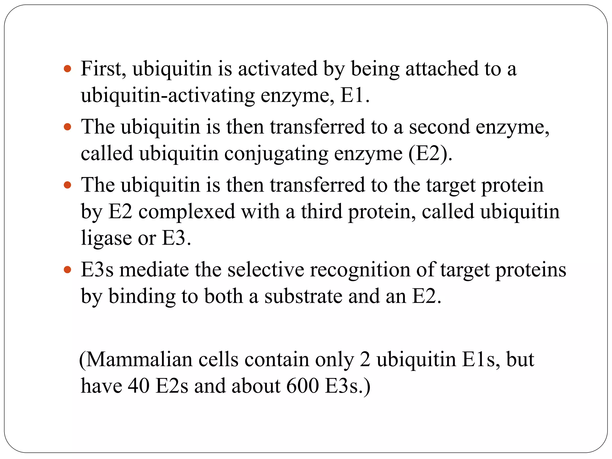 Ubiquitin proteasome pathway.pptx