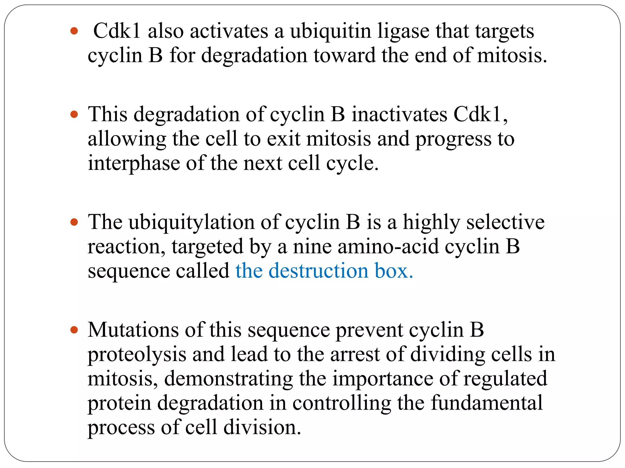 Ubiquitin proteasome pathway.pptx