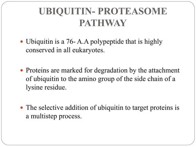 Ubiquitin proteasome pathway.pptx | Biological Sciences | Science