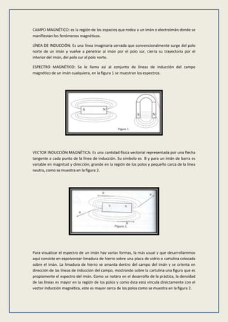 P2 ESPECTROS MAGNÉTICOS Y LÍNEAS DE INDUCCIÓN | DOCX