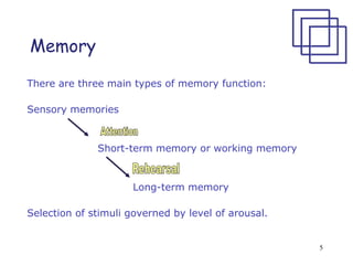 P2.9_HumanMemory.ppt
