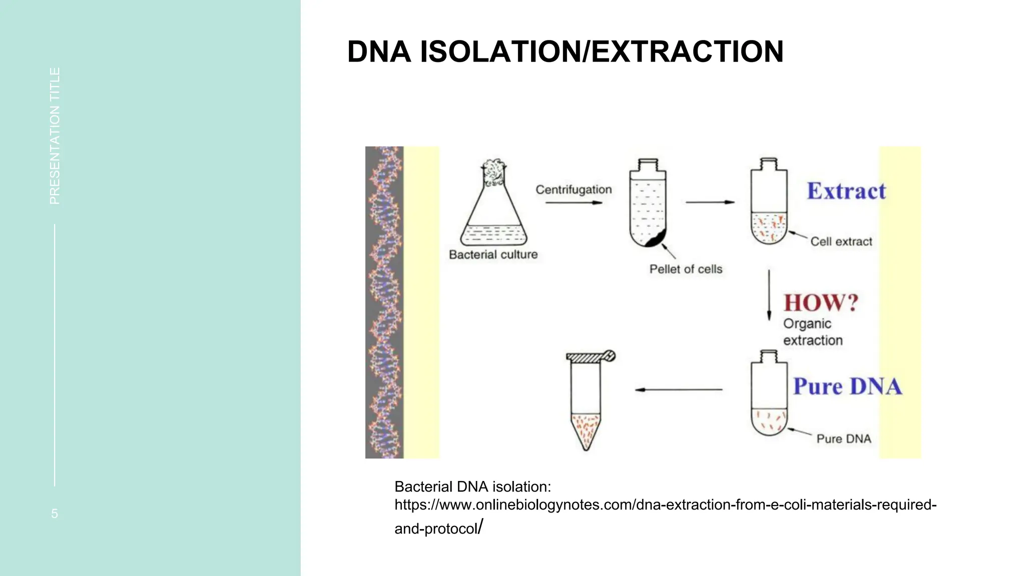 Isolasi dan purifikasi DNA, human, teknologi | PDF