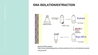 Isolasi dan purifikasi DNA, human, teknologi | PDF
