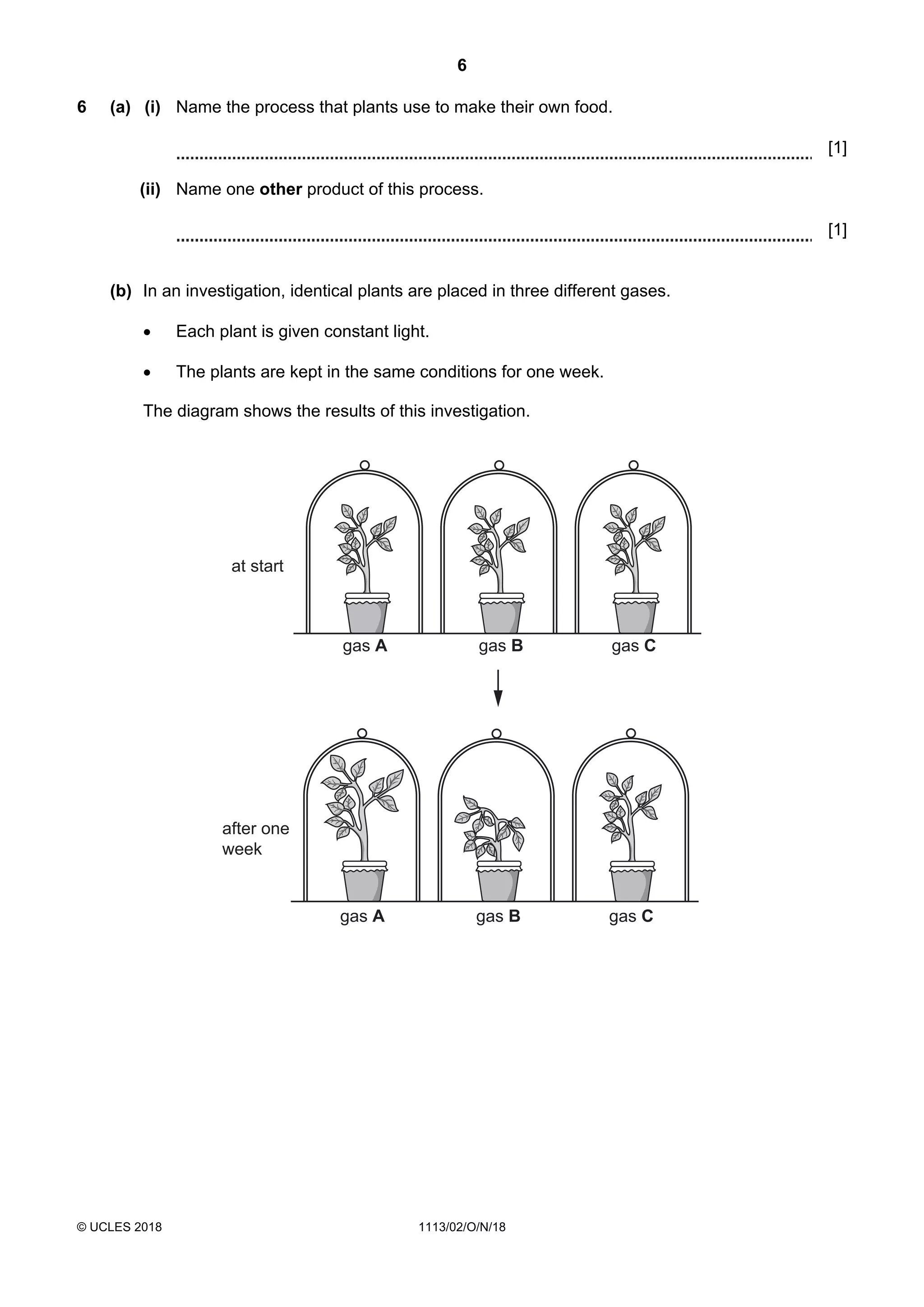 Cambridge Lower Secondary Checkpoint Past Paper P2 october-2018-science ...