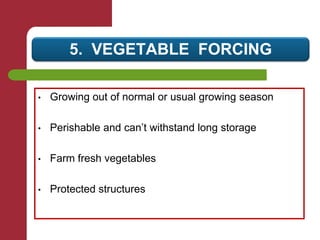 P2 vegetable gardens | PDF
