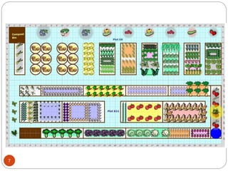 P2 vegetable gardens | PDF