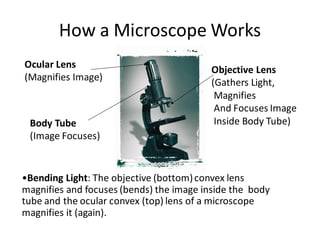 P (2) Care and how to use P (1).pdf