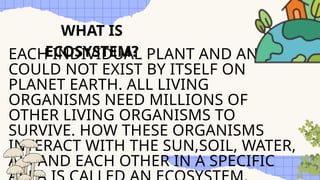 P2_EDU 562 Exploring the Ecosystem.pptx. | PPTX