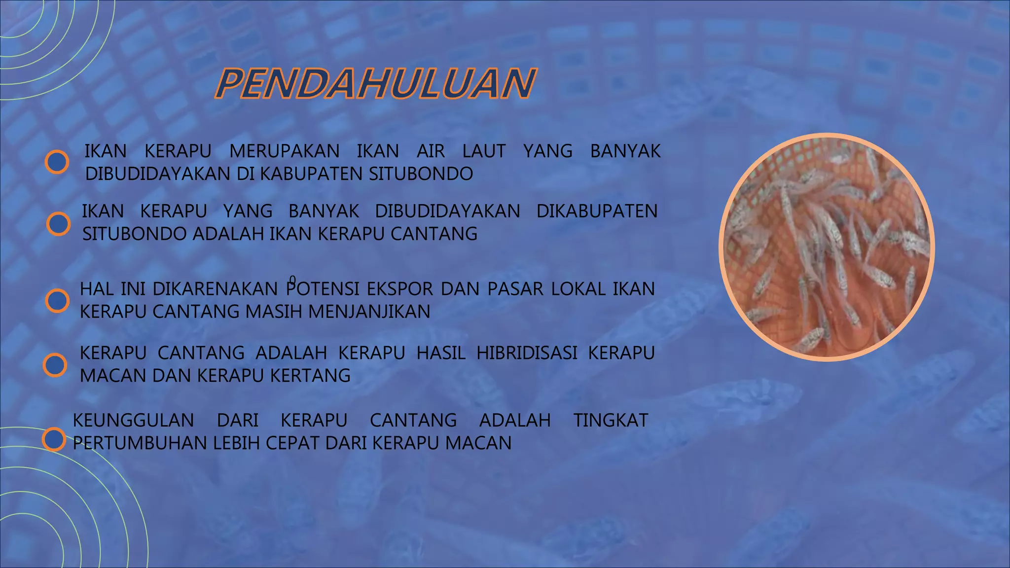 p2mkp ppt pembenihan dan pendederan ikan kerapu cantang new.pptx