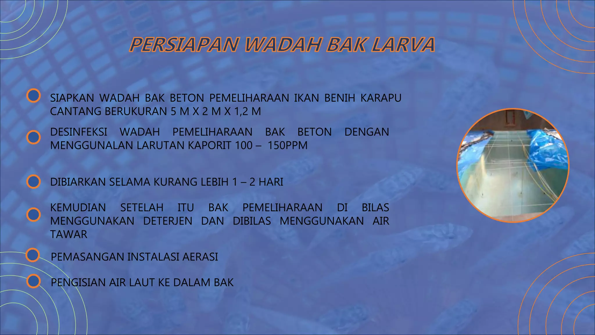 p2mkp ppt pembenihan dan pendederan ikan kerapu cantang new.pptx