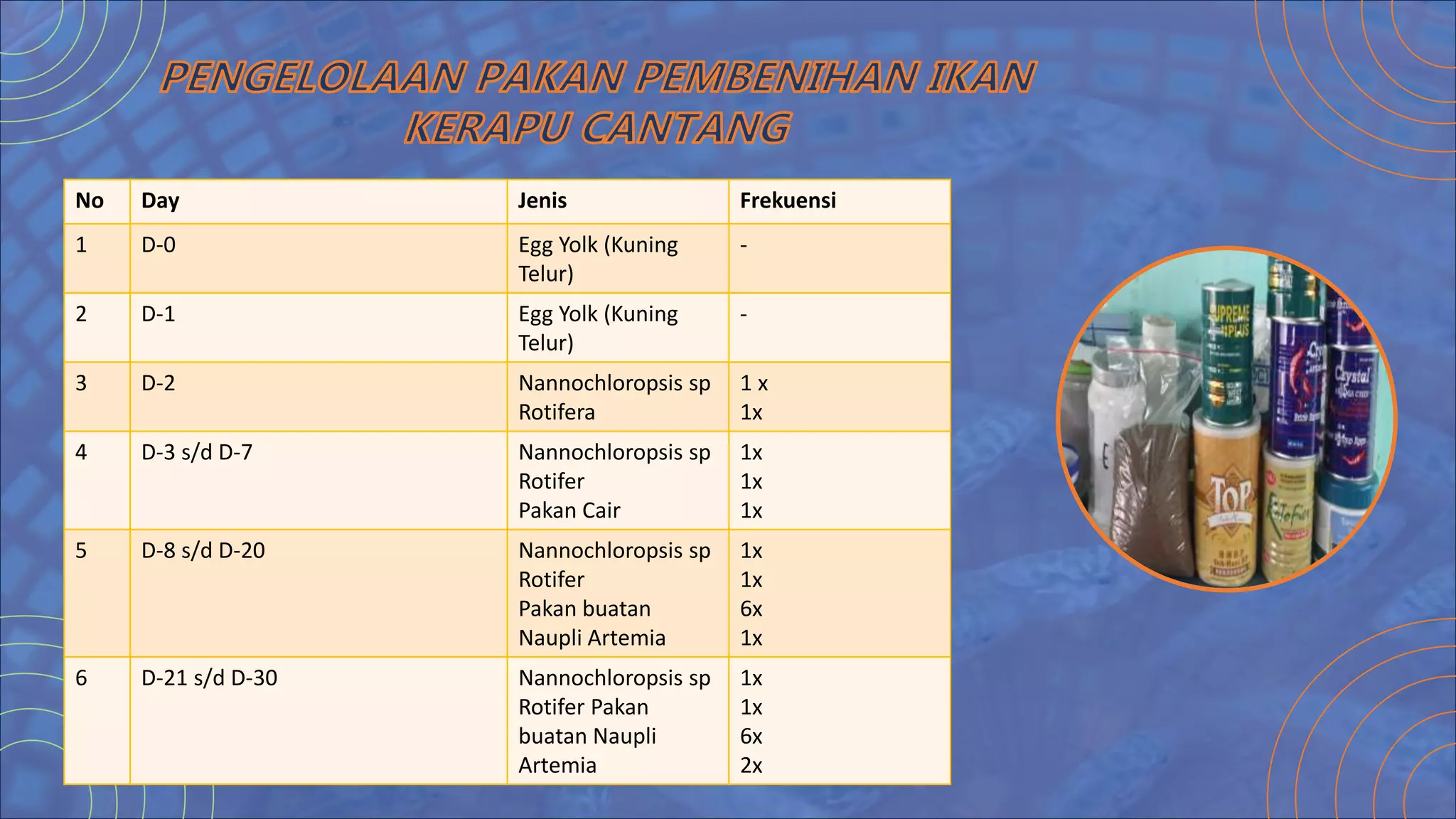p2mkp ppt pembenihan dan pendederan ikan kerapu cantang new.pptx