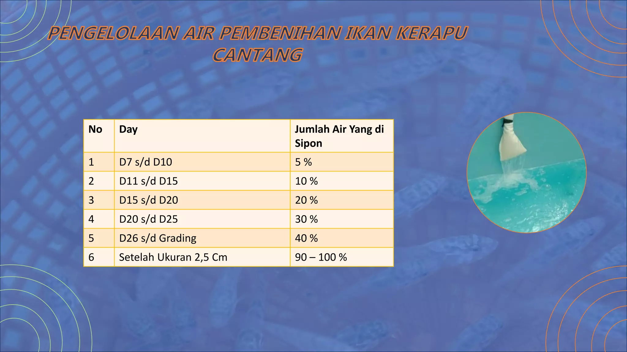 p2mkp ppt pembenihan dan pendederan ikan kerapu cantang new.pptx