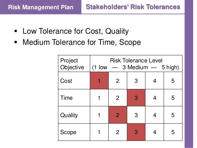Risk Tolerance Coefficient In Projects – XAXO