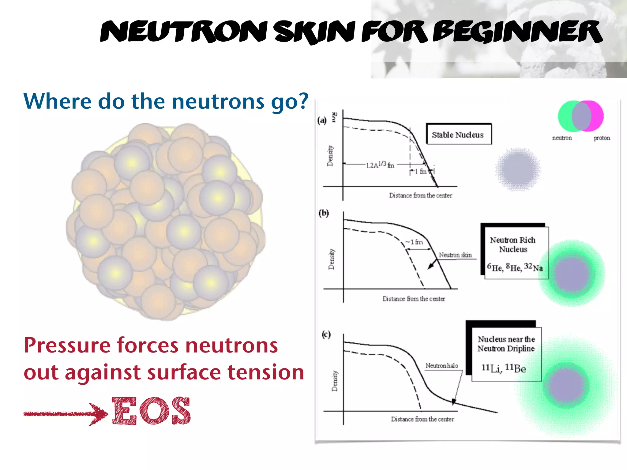 Neutron Skin Measurements at Mainz | PDF