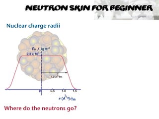 Neutron Skin Measurements at Mainz | PDF