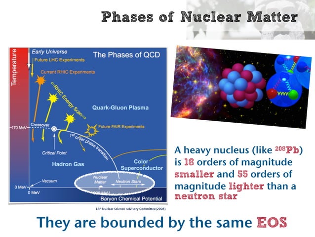 Neutron Skin Measurements at Mainz | PDF | Physics | Science