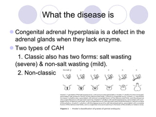 P2 powerpoint | PPTX