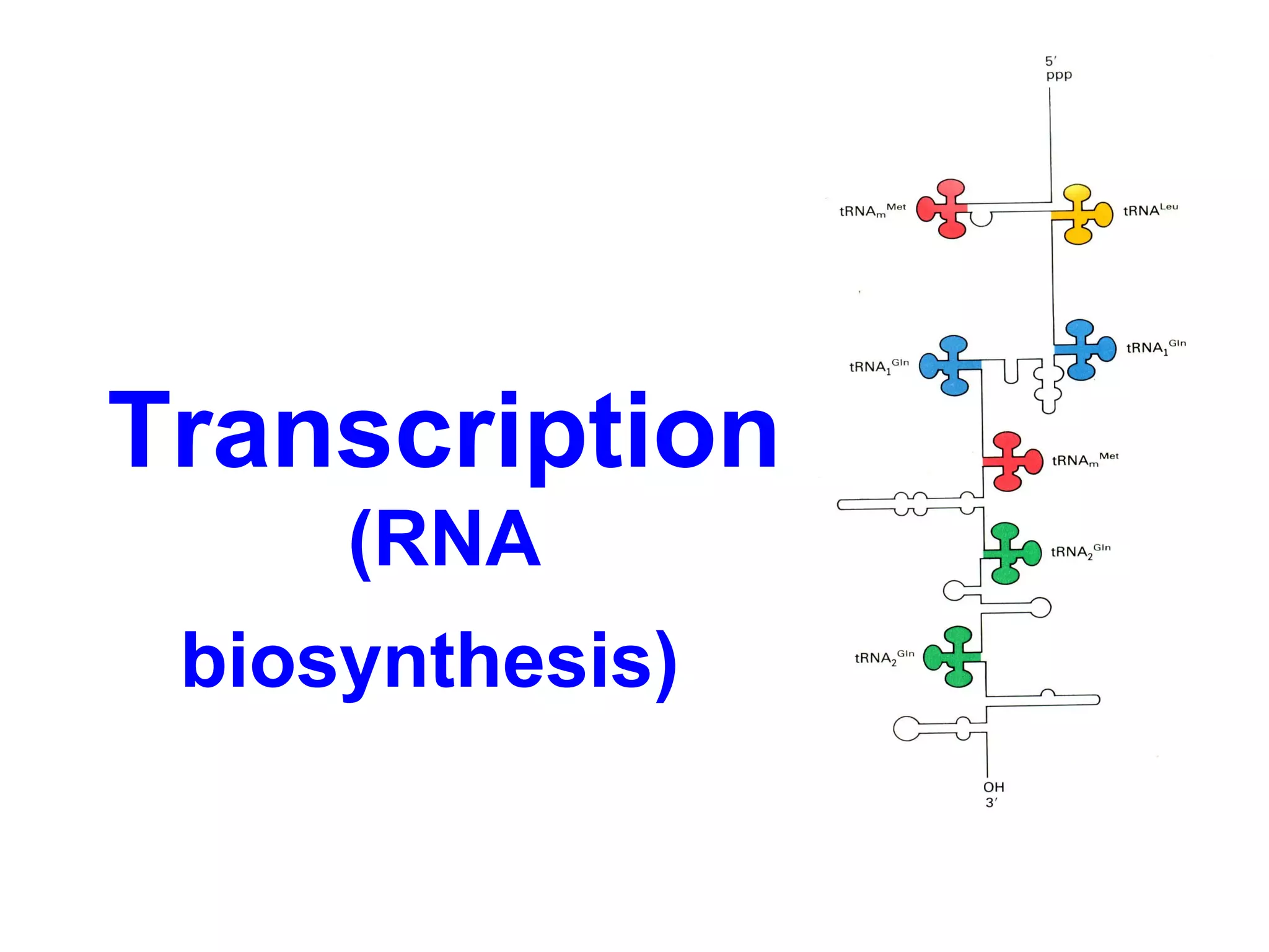 Biochemistry transcription (RNA biosynsthesis) | PPT