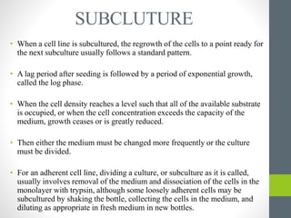 Secondary culture.pptx