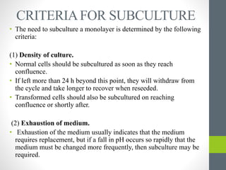 Secondary culture.pptx