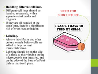 Secondary culture.pptx