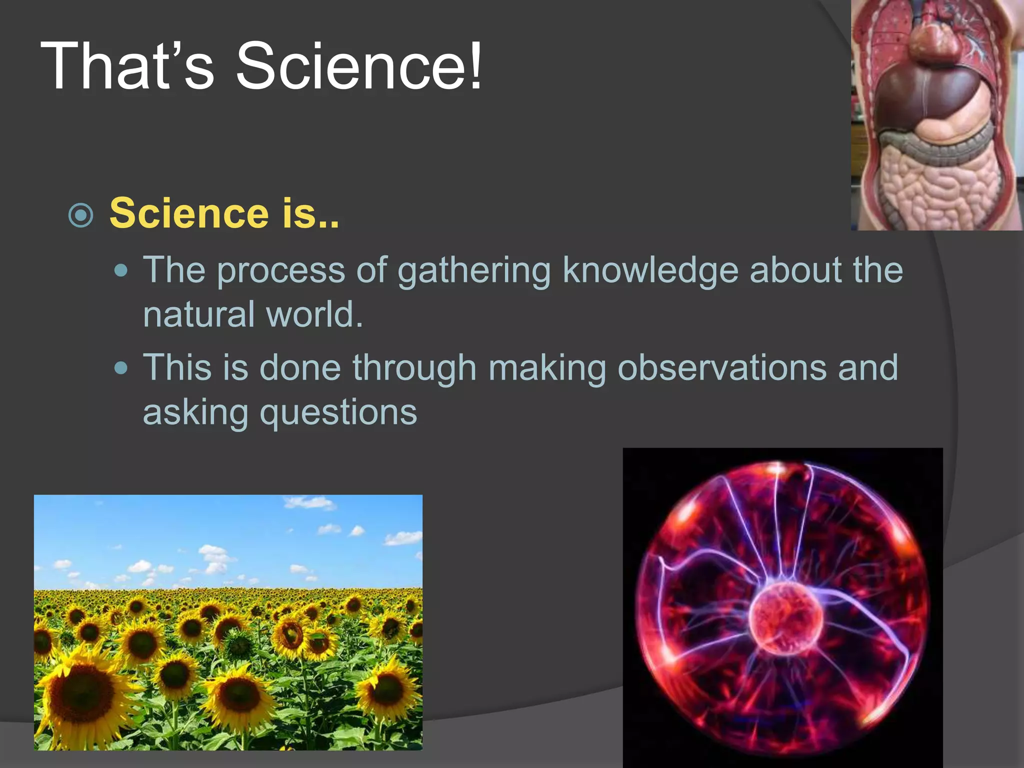 P3.1 Exploring Physical Science | PPTX