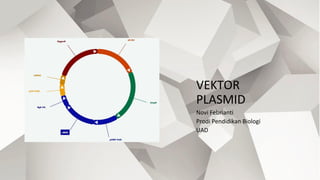 VEKTOR PLASMID, CHARACTERISTICS PLASMID, AND FUNGSI | PPT