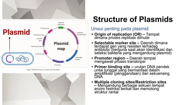 VEKTOR PLASMID, CHARACTERISTICS PLASMID, AND FUNGSI | PPT
