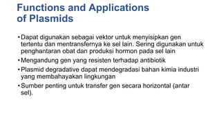VEKTOR PLASMID, CHARACTERISTICS PLASMID, AND FUNGSI | PPT