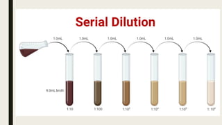 AS P3 different types of dilution lecture | PPTX