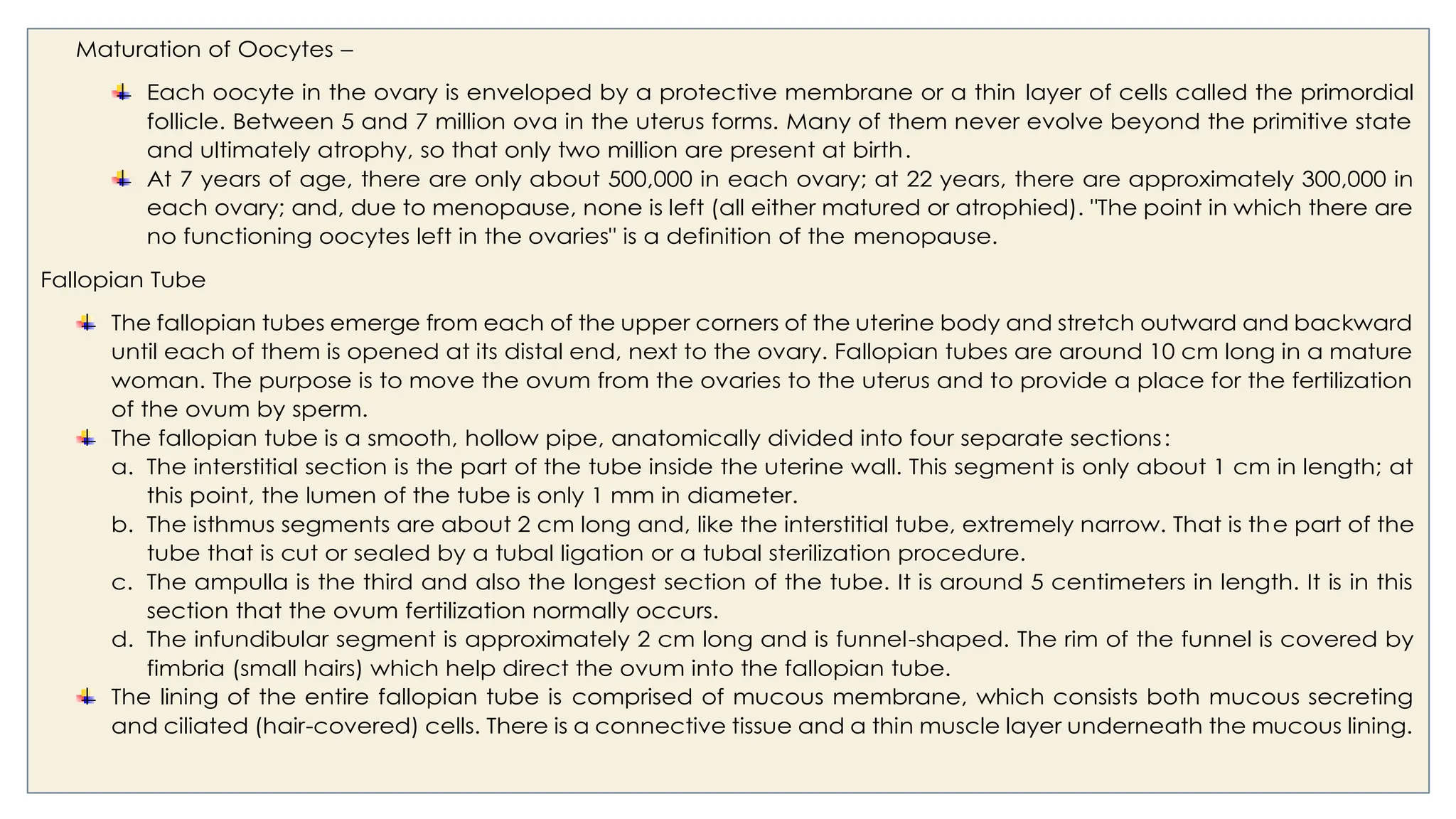 POWERPOINT -REPRODUCTIVE SYSTEM | PPTX