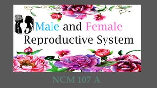 POWERPOINT -REPRODUCTIVE SYSTEM | PPTX