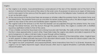 POWERPOINT -REPRODUCTIVE SYSTEM | PPTX