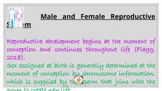 POWERPOINT -REPRODUCTIVE SYSTEM | PPTX