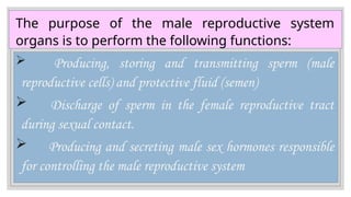 POWERPOINT -REPRODUCTIVE SYSTEM | PPTX