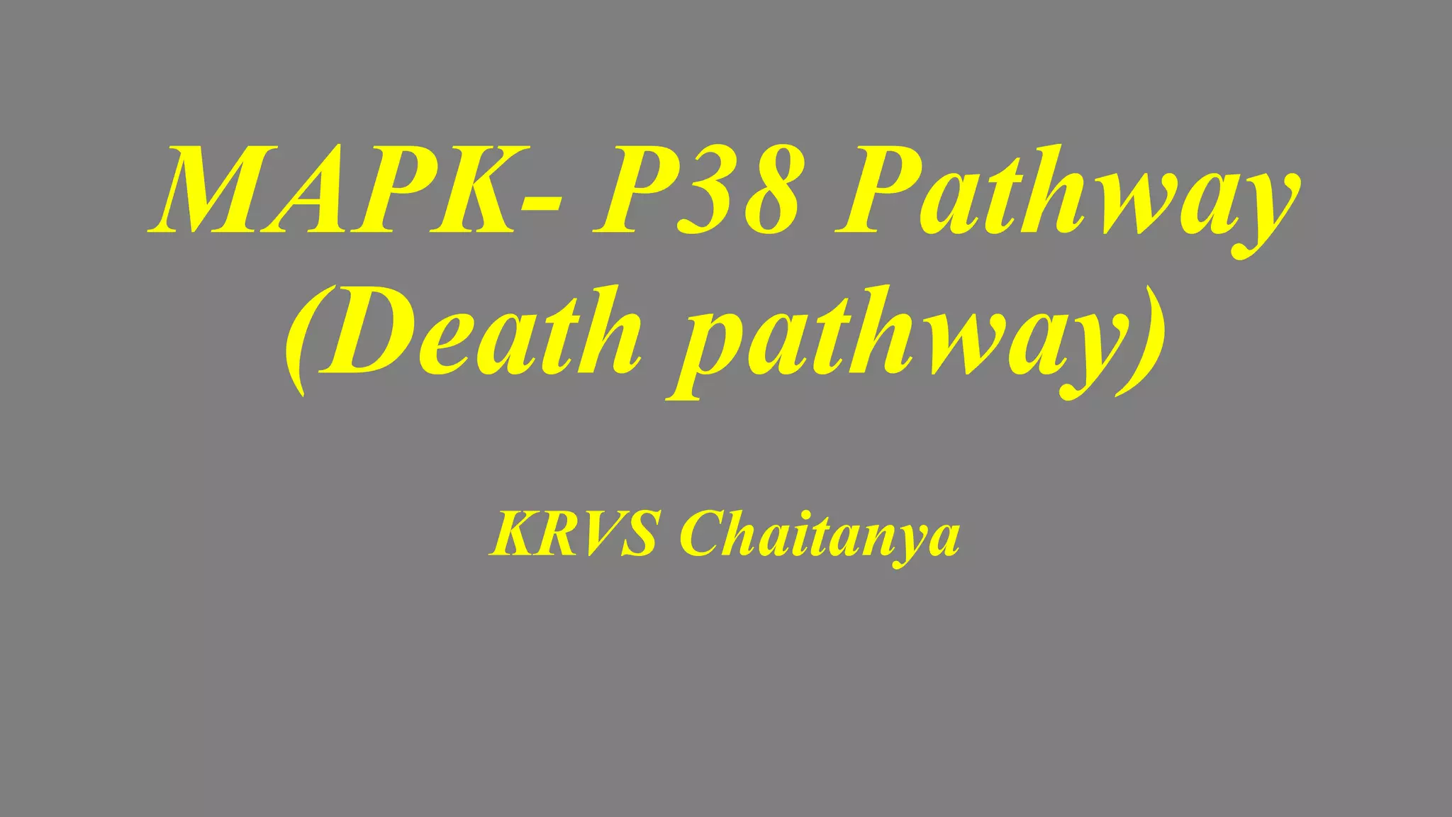 P38 pathway (Death pathway) | PPTX