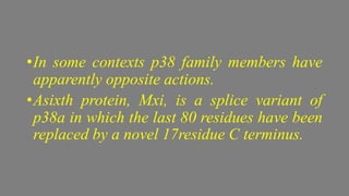 P38 pathway (Death pathway) | PPTX