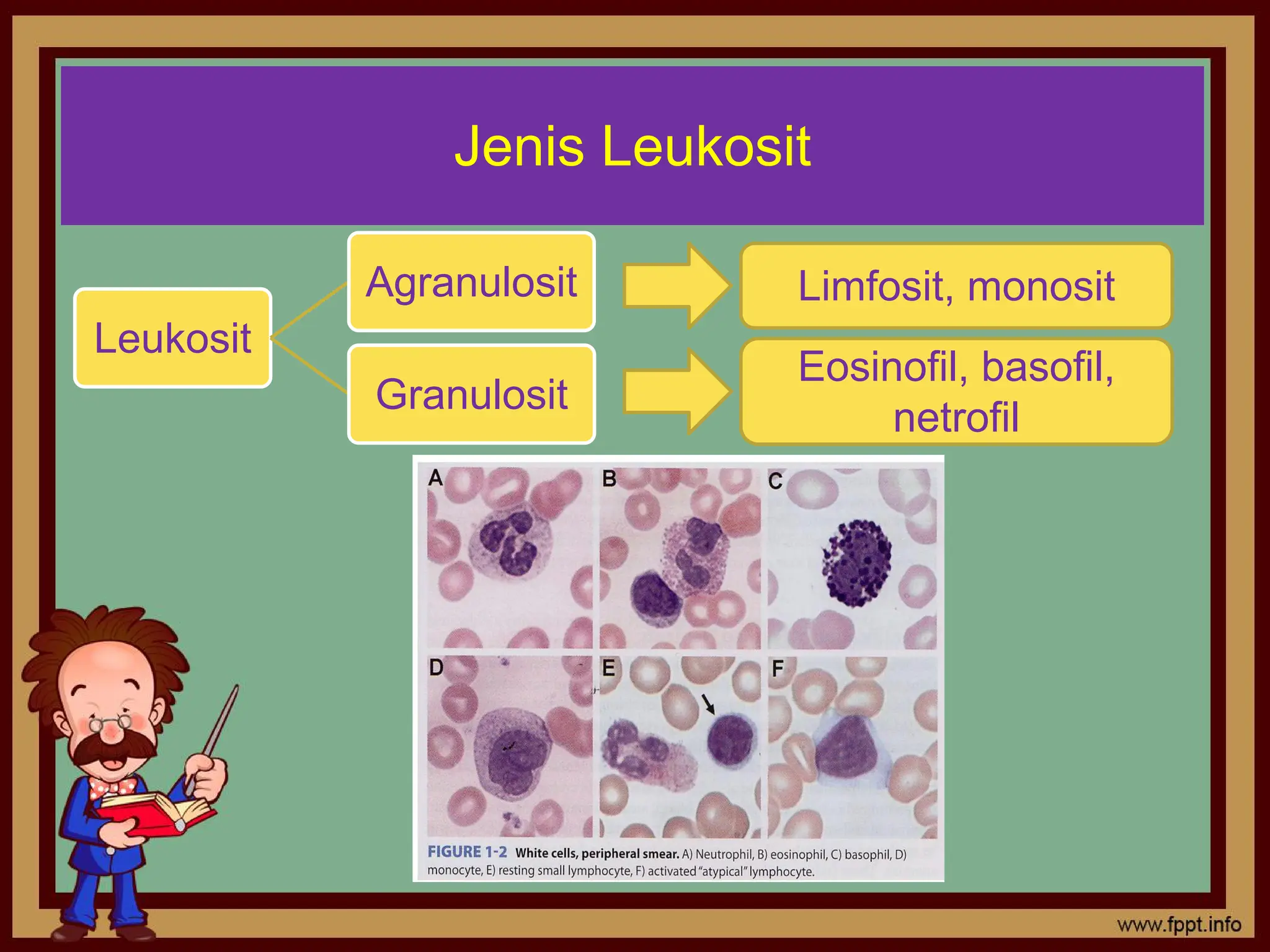 P3 Hitung leukosit.pdf