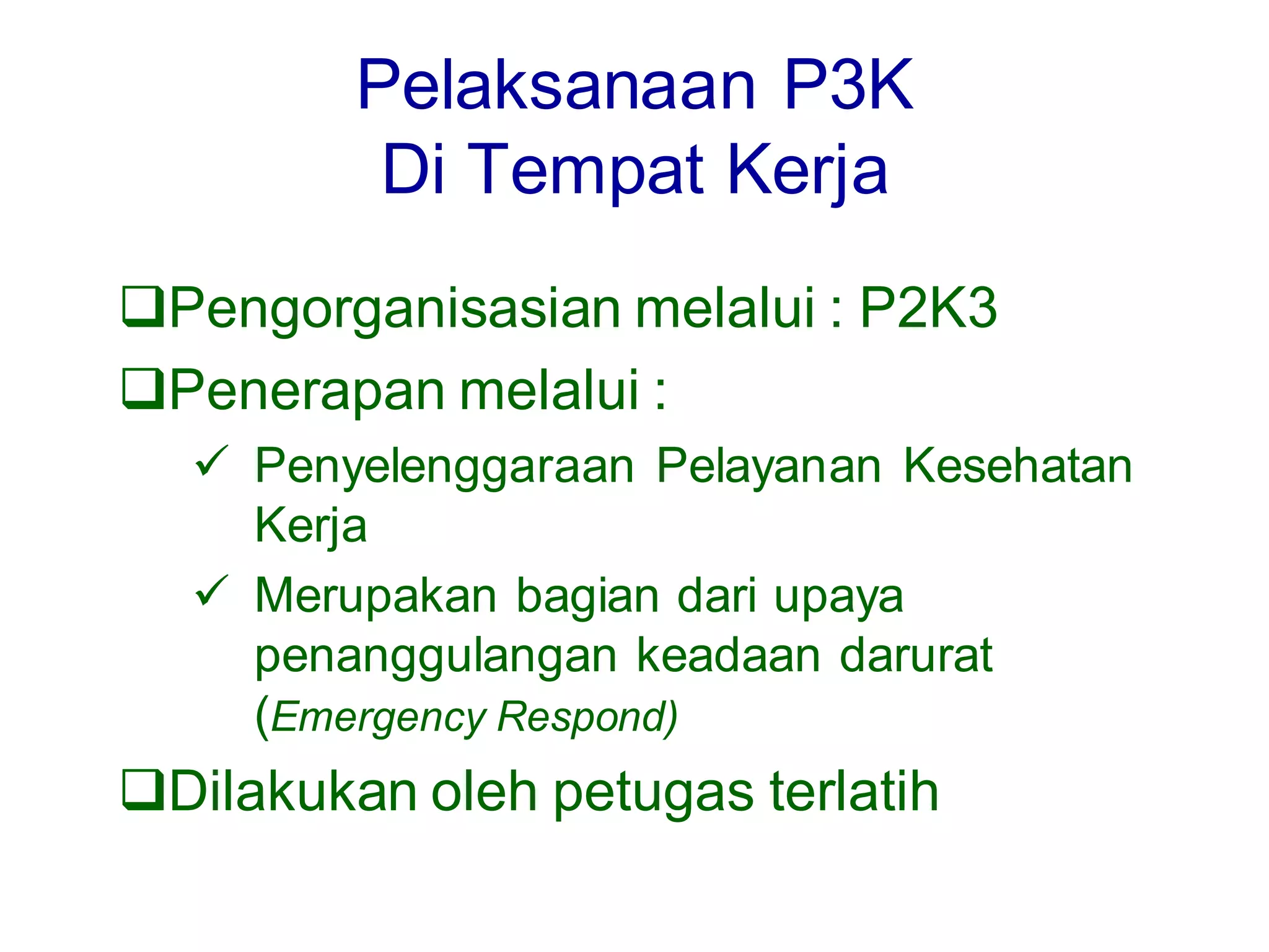 P3K Di Tempat Kerja (1).pdf