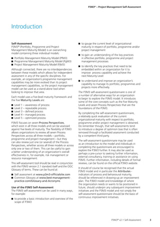 P3 m3 self_assess_project | PDF