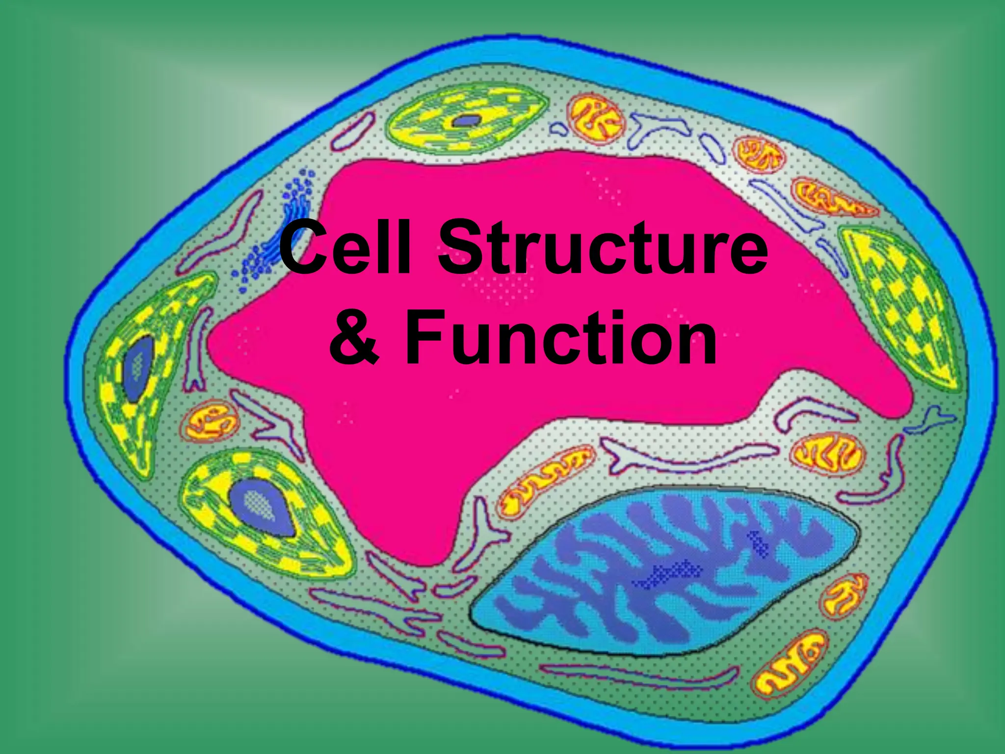 Lecture_1_The_cell_is_a_structural_functional_unit_of_life..pptx
