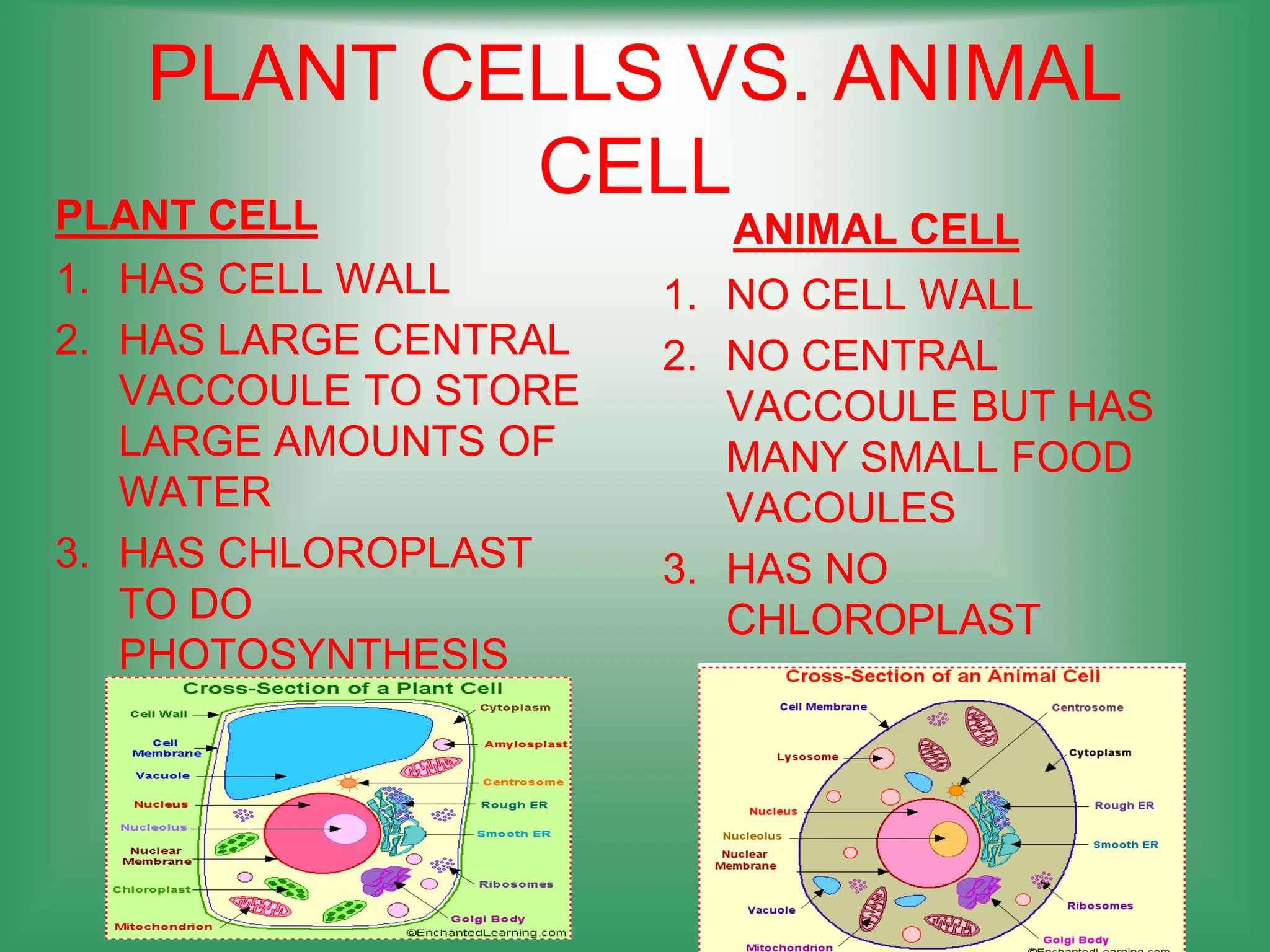Lecture_1_The_cell_is_a_structural_functional_unit_of_life..pptx