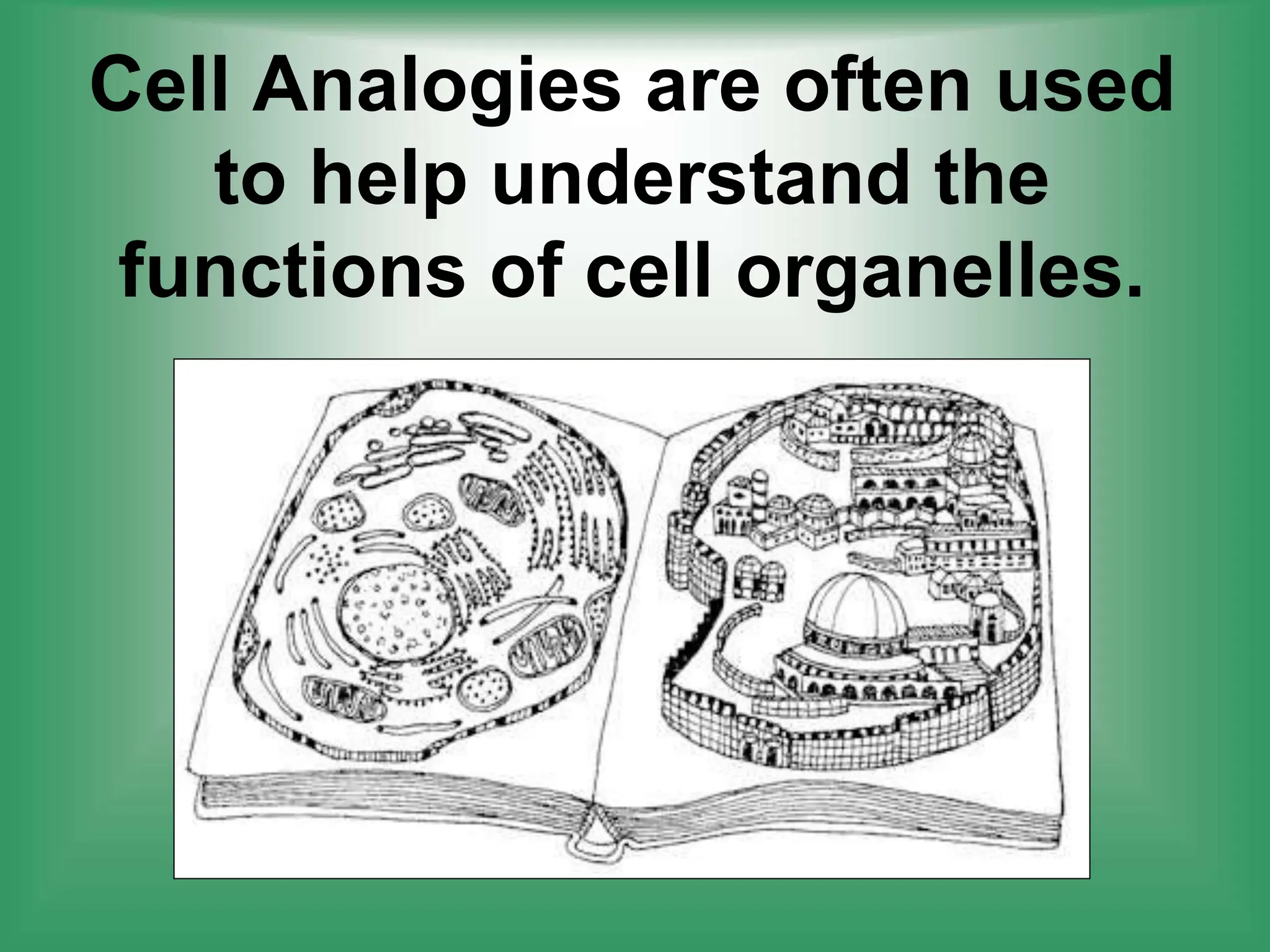 Lecture_1_The_cell_is_a_structural_functional_unit_of_life..pptx