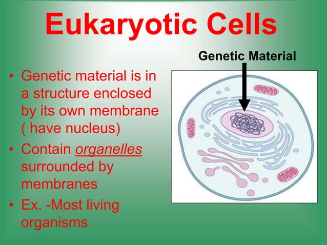 Lecture_1_The_cell_is_a_structural_functional_unit_of_life..pptx