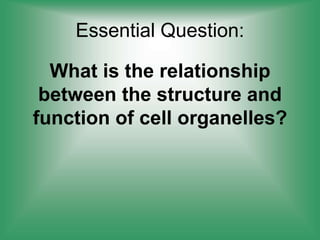 Lecture_1_The_cell_is_a_structural_functional_unit_of_life..pptx
